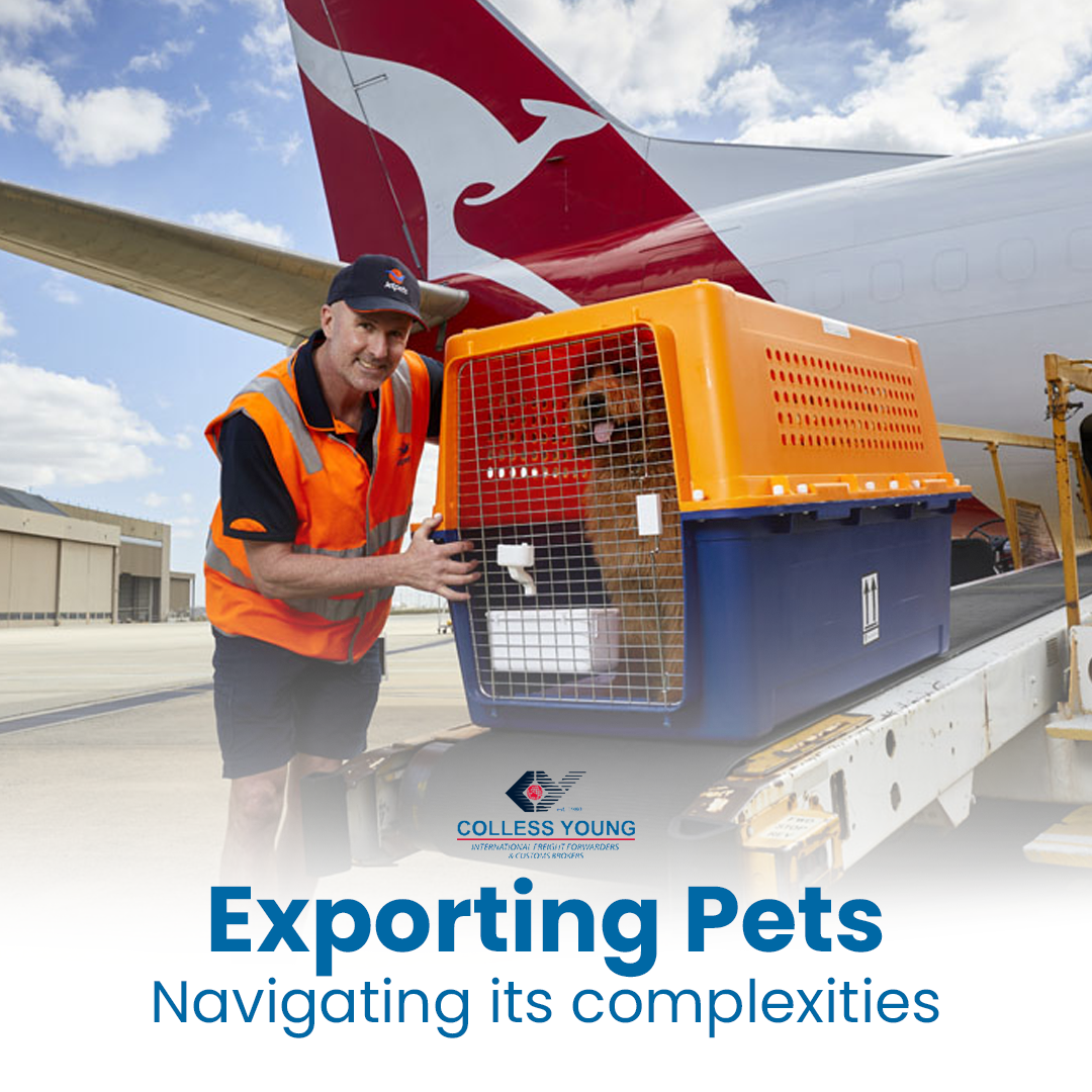 Exporting Pets - Colless Young Pty Ltd